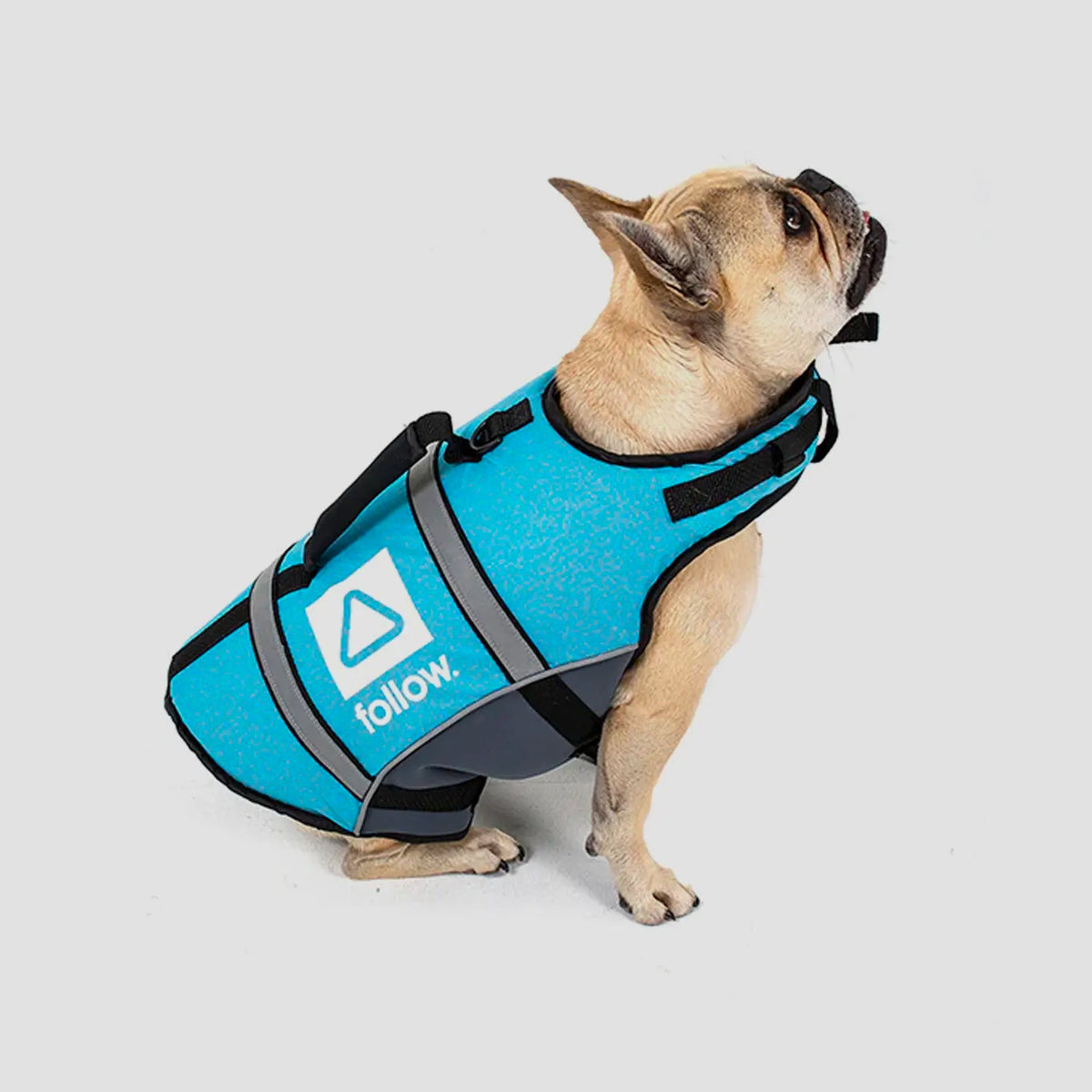 Follow Dog Floating Aid - Grey/Teal – Follow Australia
